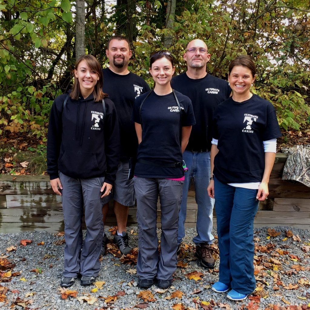 Australian Labradoodles Breeder & Puppies in Indiana